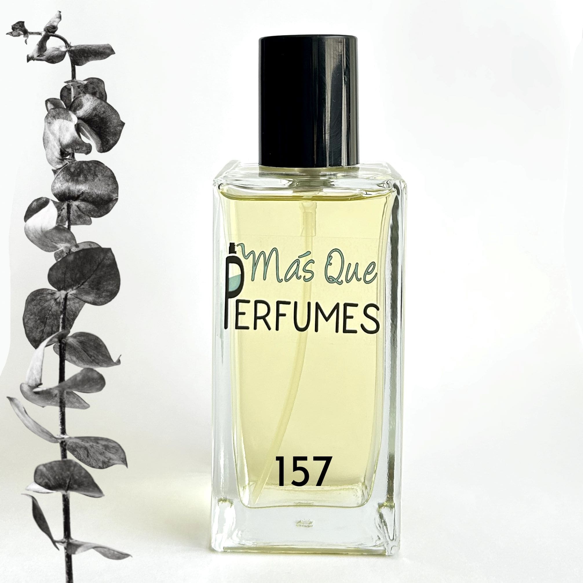Mas Que Perfumes - 157 – Masqueperfumes